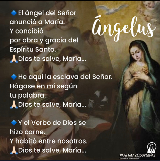 PAPA FRANCISCO ÁNGELUS ID PROCLAMANDO EL REINO DE LOS CIELOS 18 junio ...