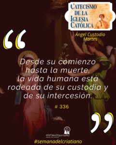 CATECISMO DE LA IGLESIA CATÓLICA – ÁNGEL CUSTODIO – MARTES – Fatimazo ...